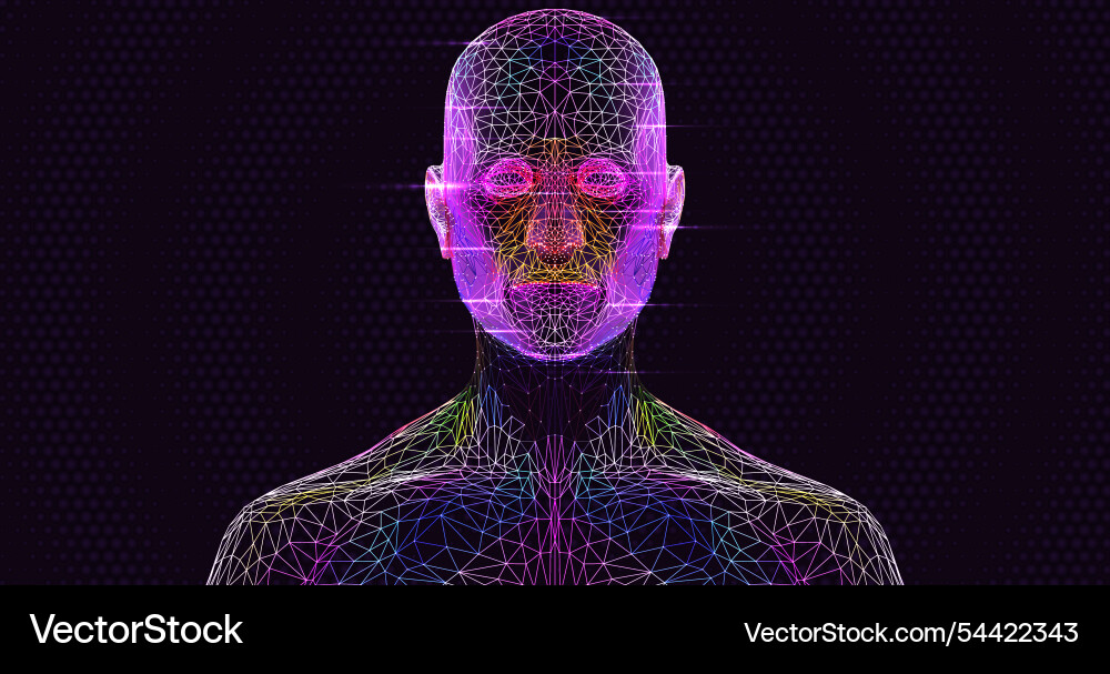 Digital wireframe of a human head and upper torso Vector Image