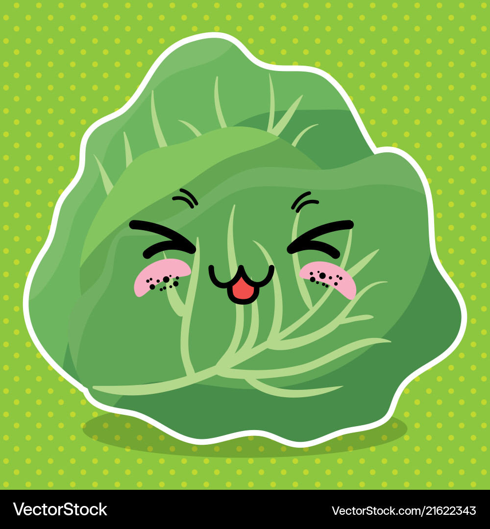 Fresh cabbage vegetable kawaii character Vector Image