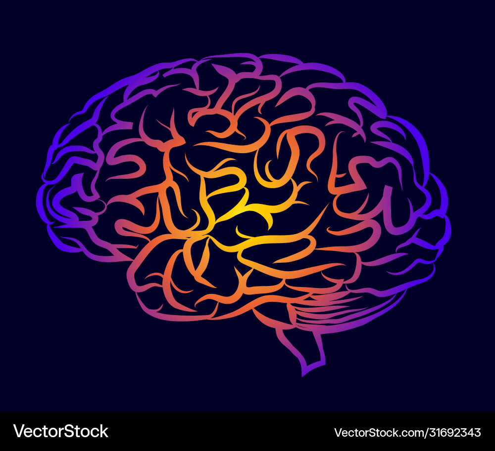 Human brain Royalty Free Vector Image - VectorStock