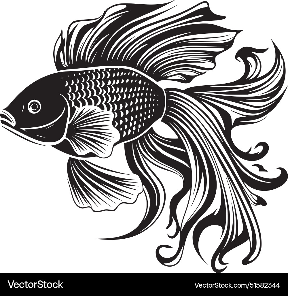Betta fish - black and white isolated icon Vector Image