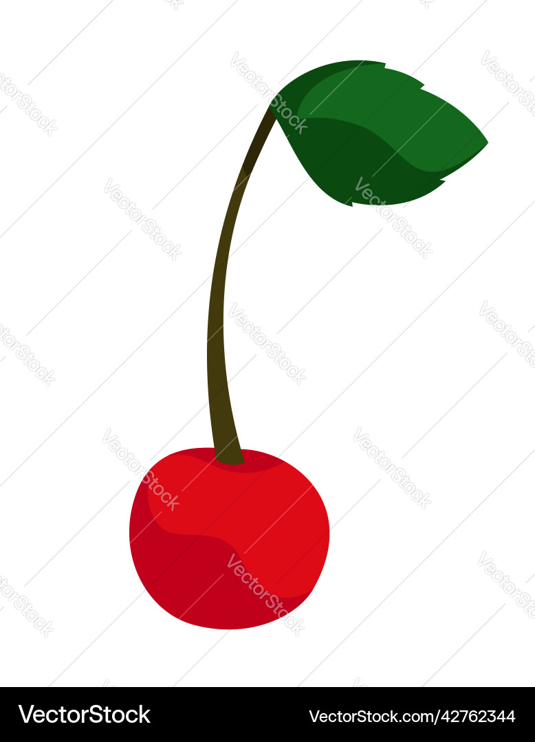 Cherry with leaf Royalty Free Vector Image - VectorStock
