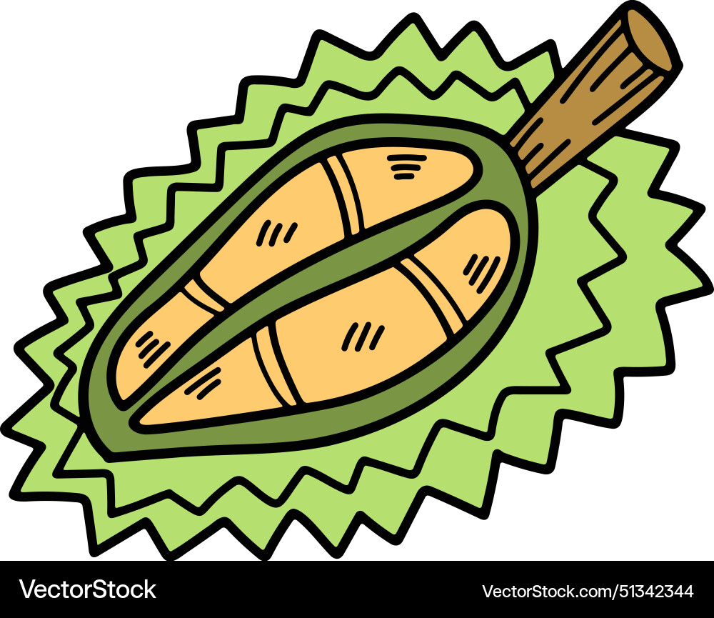 Hand drawn delicious durian in line style Vector Image