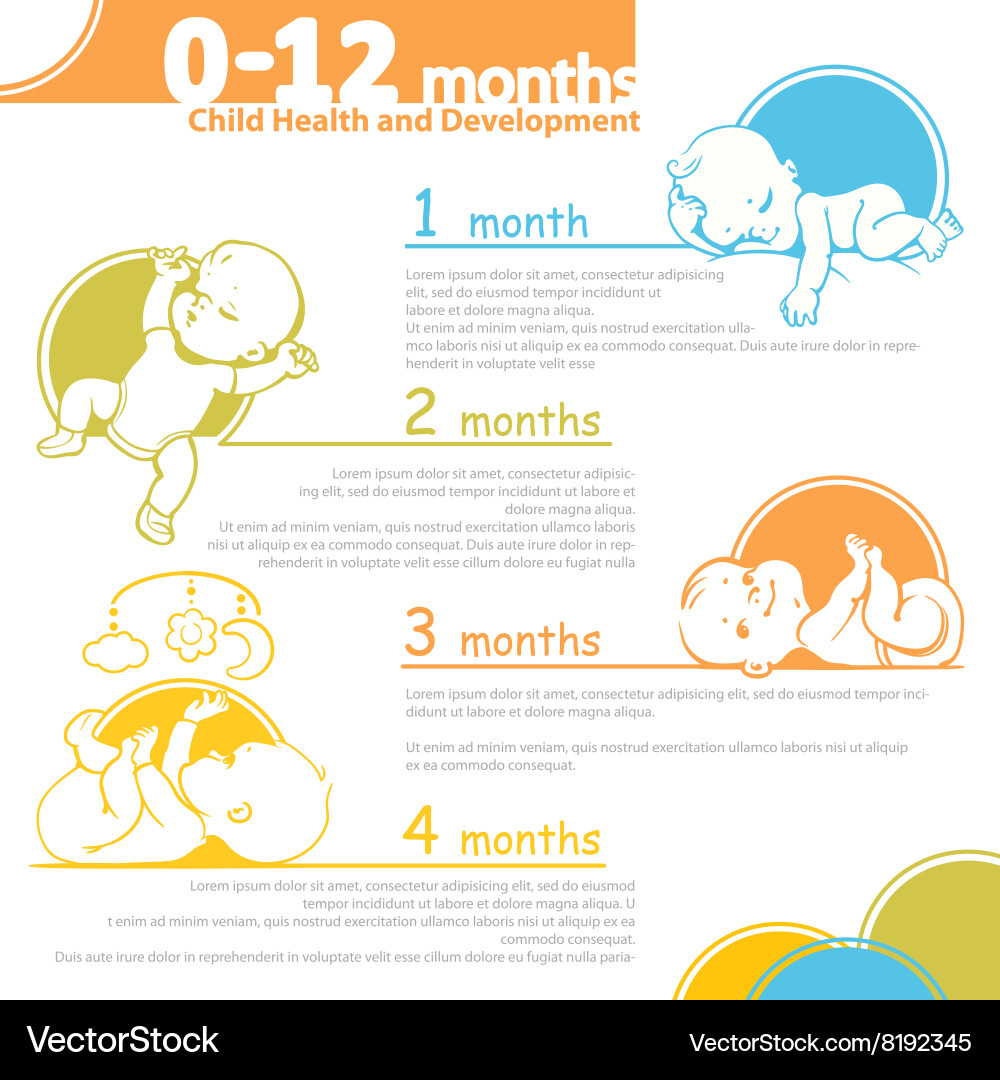 Baby growing up infographic Royalty Free Vector Image