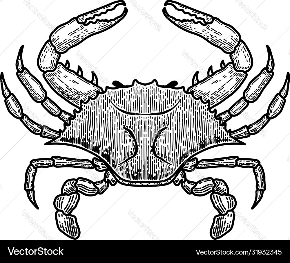 Blue crab in engraving style design element Vector Image