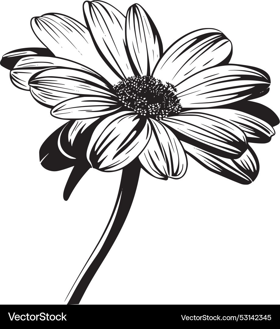 Flower Royalty Free Vector Image - VectorStock