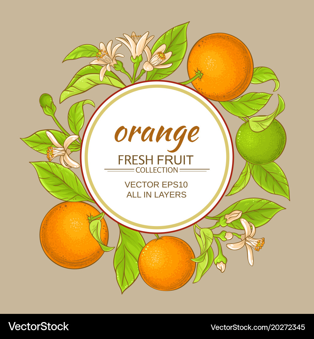 Orange frame Royalty Free Vector Image - VectorStock