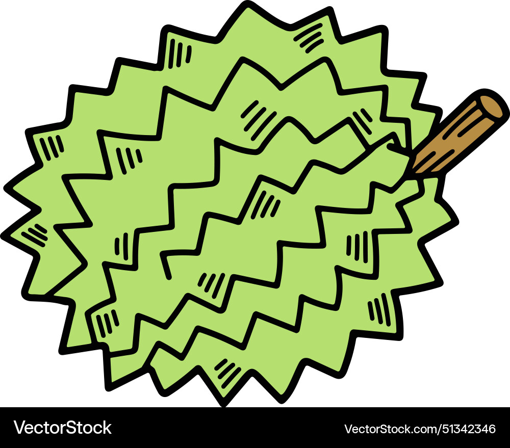 Hand drawn delicious durian in line style Vector Image