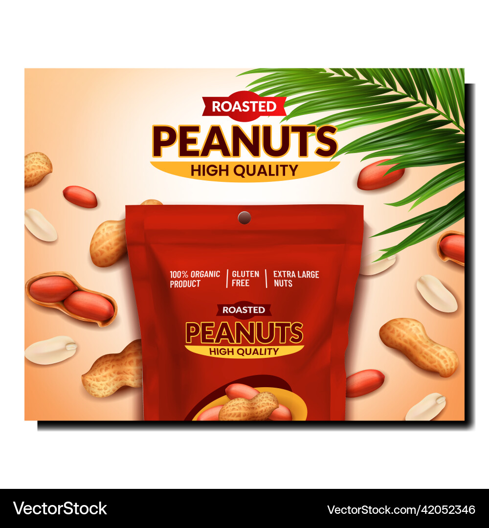 Roasted peanuts creative promotion poster Vector Image