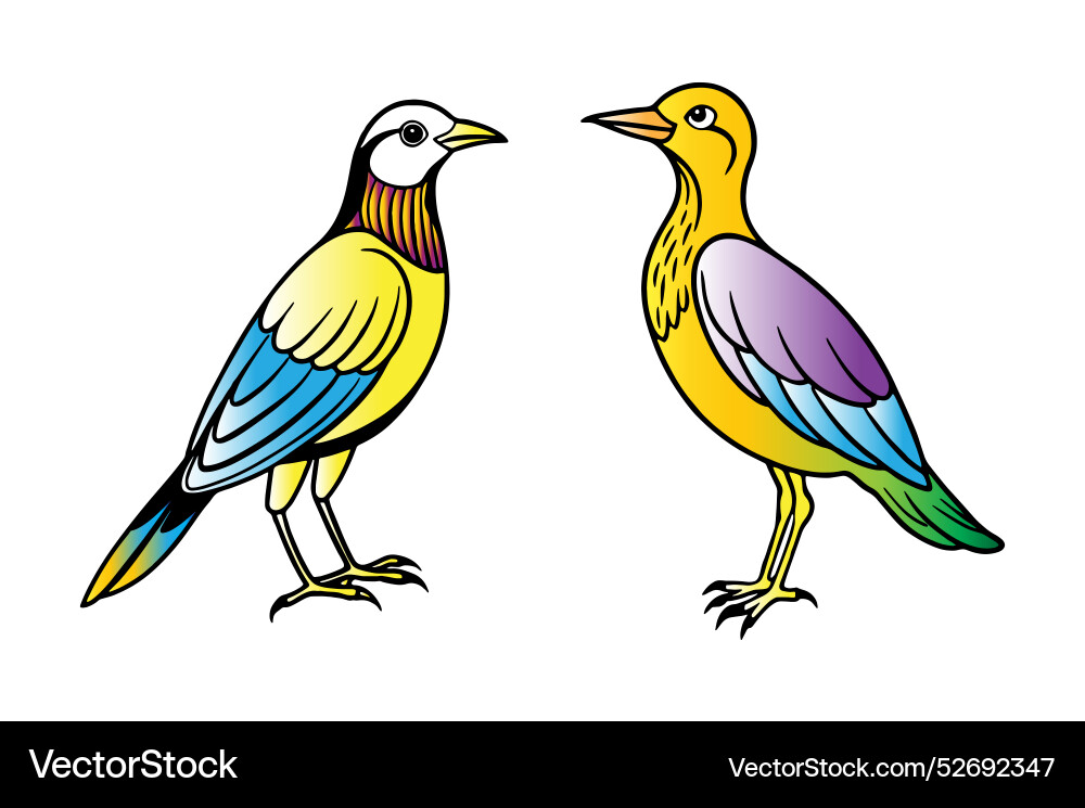 Colorful bird Royalty Free Vector Image - VectorStock
