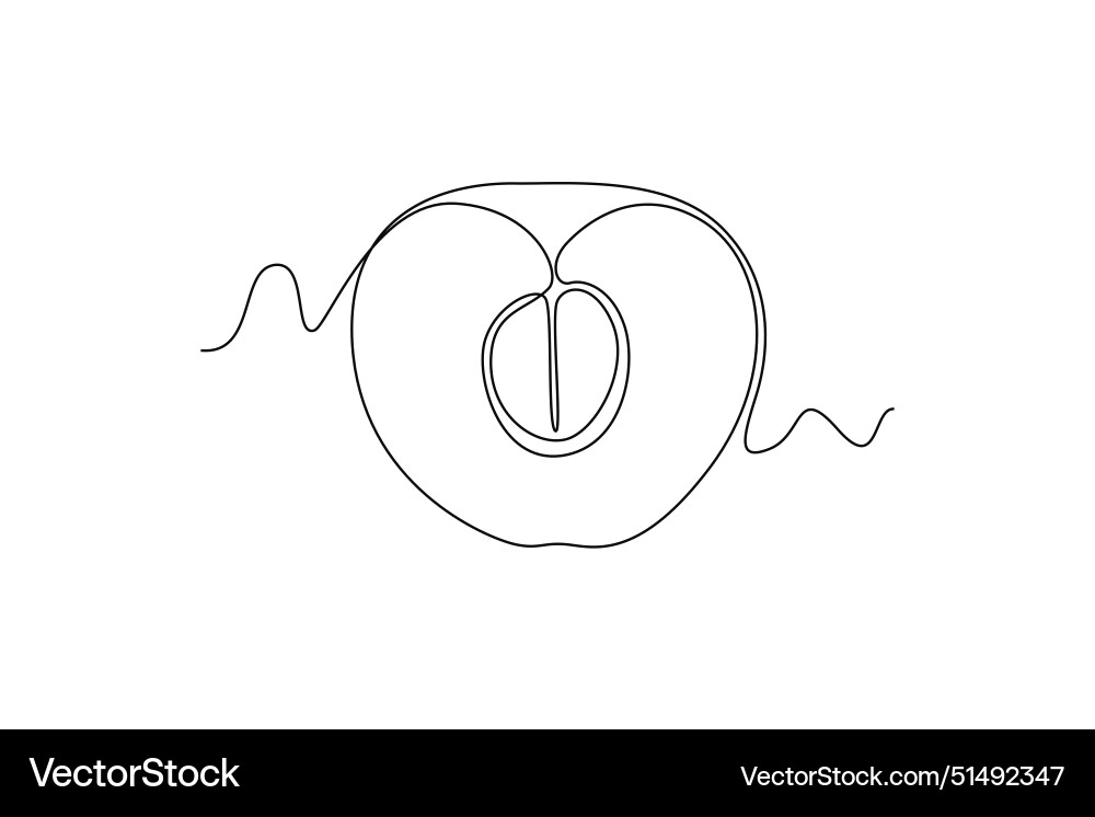 Continuous one line drawing slice of healthy Vector Image