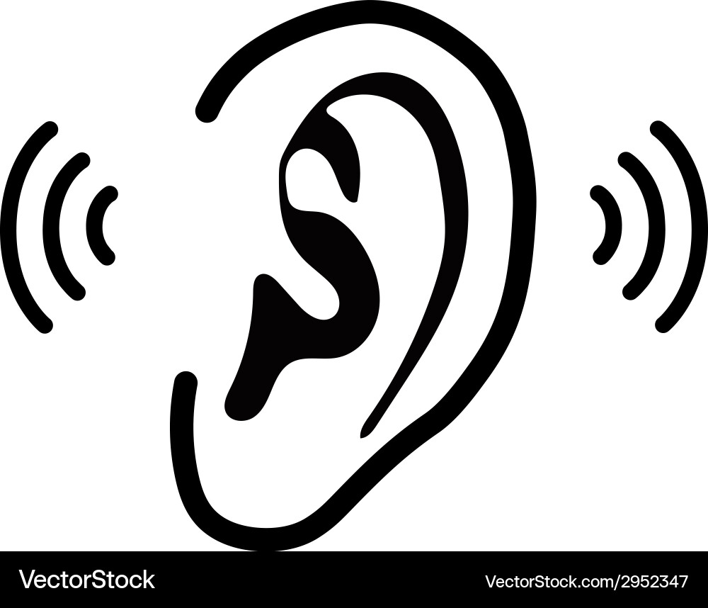 Human ear Royalty Free Vector Image - VectorStock
