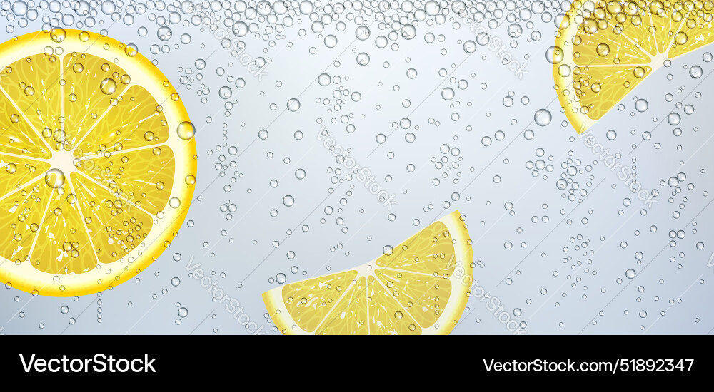 Lemonade made from lemon slices and sparkling Vector Image