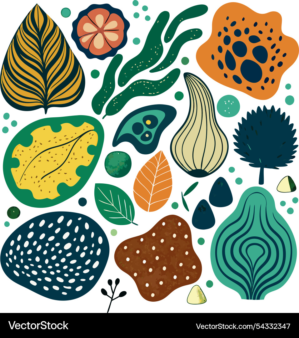 Organic shape Royalty Free Vector Image - VectorStock