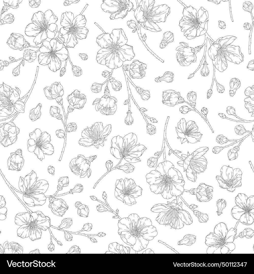 Seamless pattern with blooming apricot flowers Vector Image