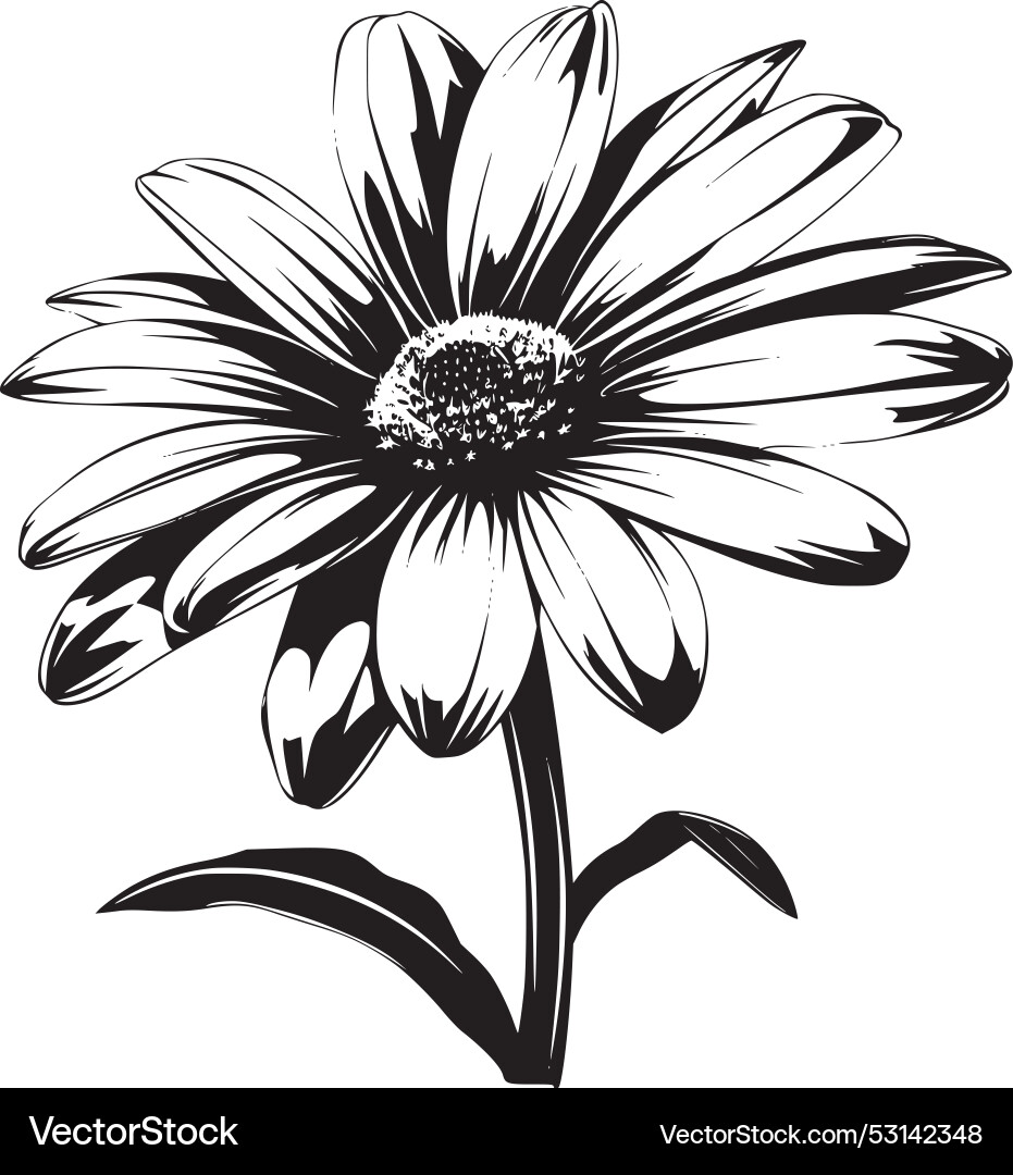 Flower Royalty Free Vector Image - VectorStock