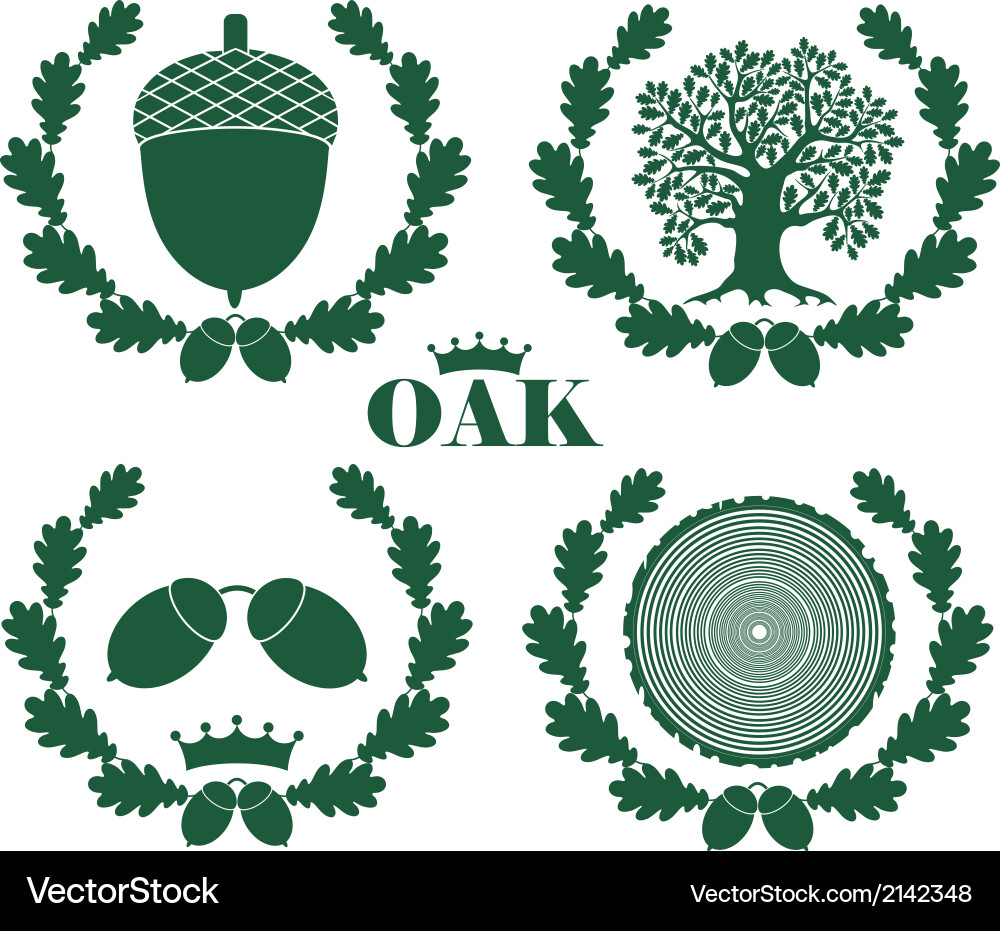 Oak Royalty Free Vector Image - VectorStock