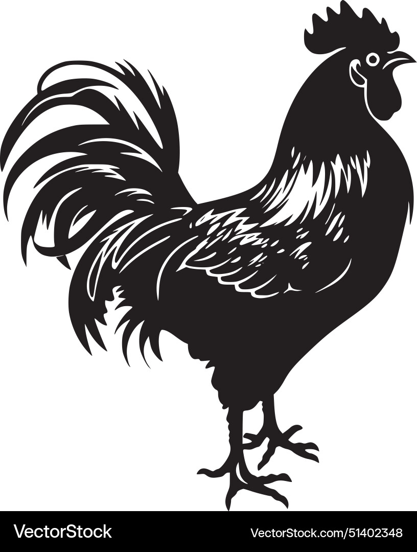 Rooster - black and white Royalty Free Vector Image
