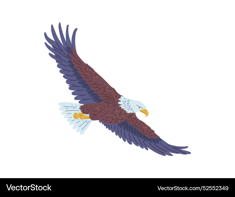 An american bald eagle Royalty Free Vector Image