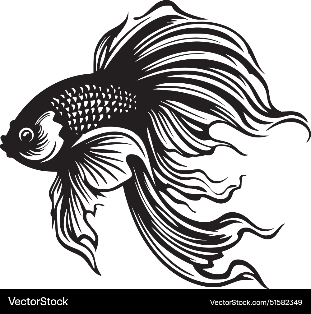 Betta fish - black and white isolated icon Vector Image