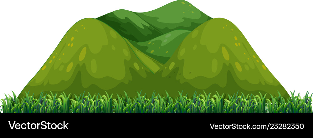 Isolated green mountain on white background Vector Image