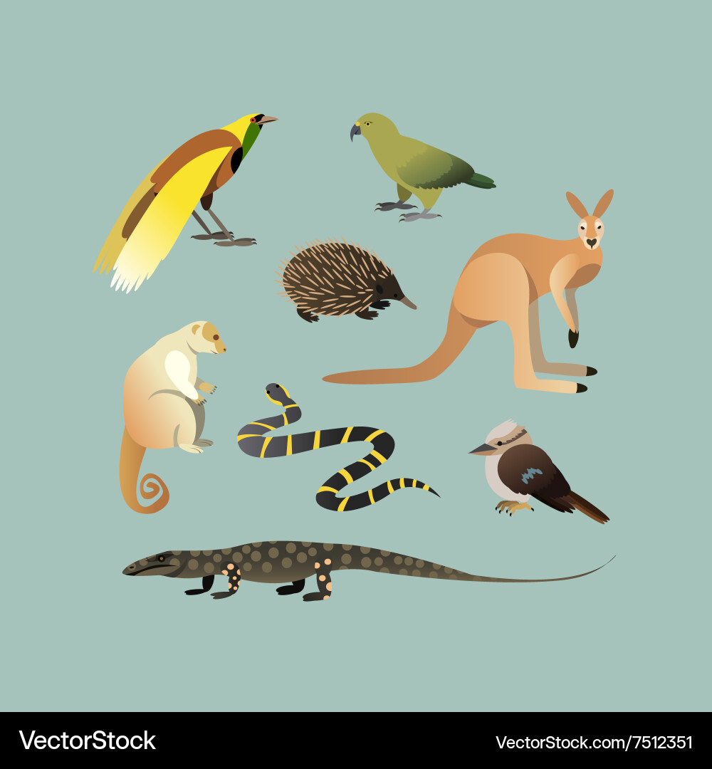 Set of different australian animals Royalty Free Vector