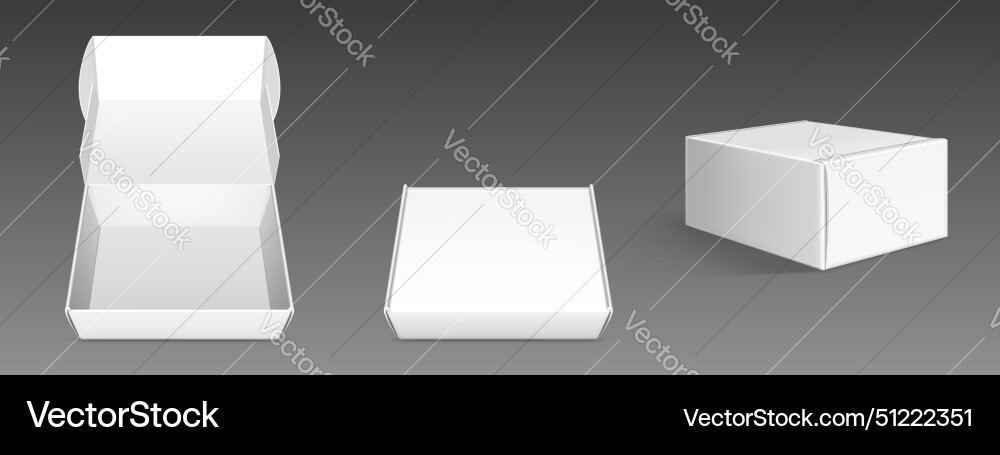 White closed and open cardboard box mockup Vector Image