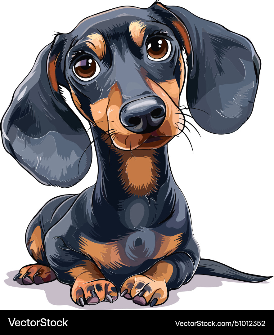 Dachshund dog adorable art Royalty Free Vector Image