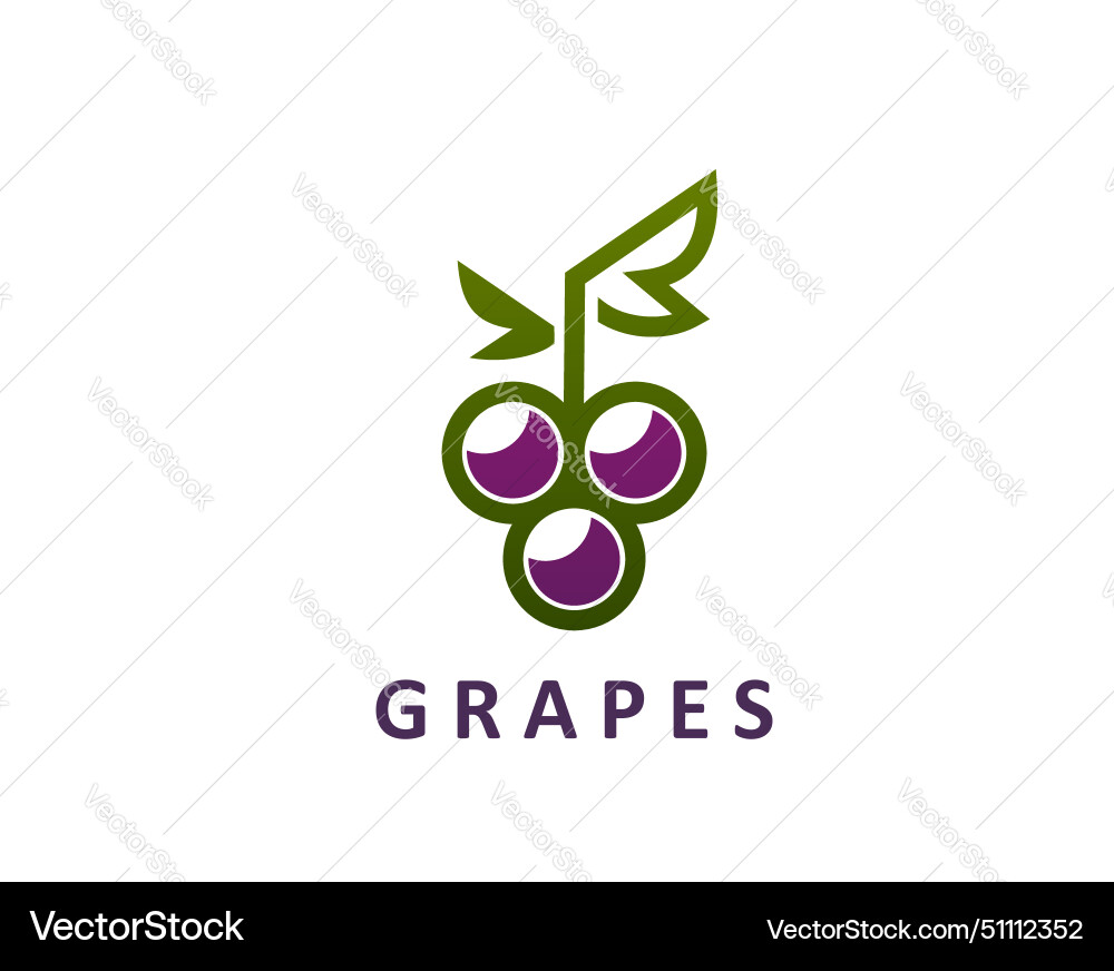 Grape wine icon featuring linear purple berries Vector Image