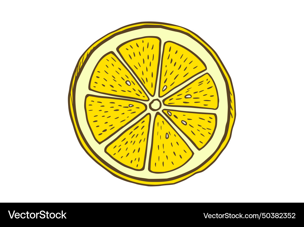 Hand drawn color slice lemon fruit cut in sketch Vector Image