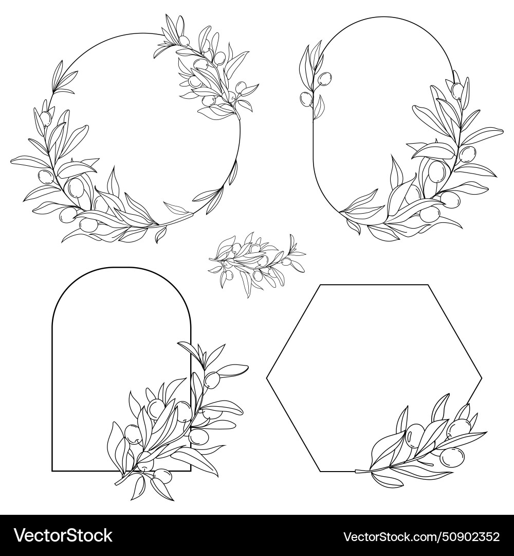 Set of black olive frames branches Royalty Free Vector Image
