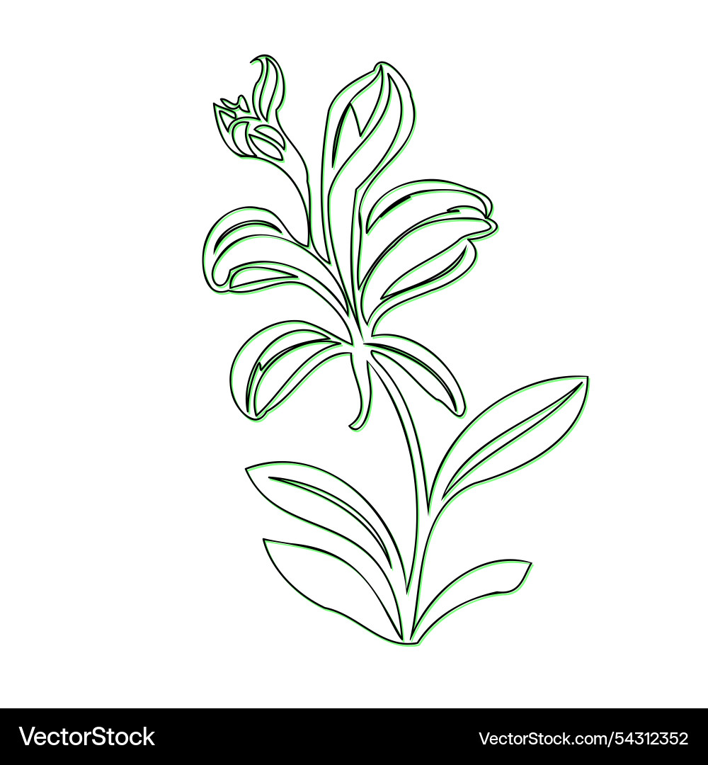 Single line flower minimalist art Royalty Free Vector Image
