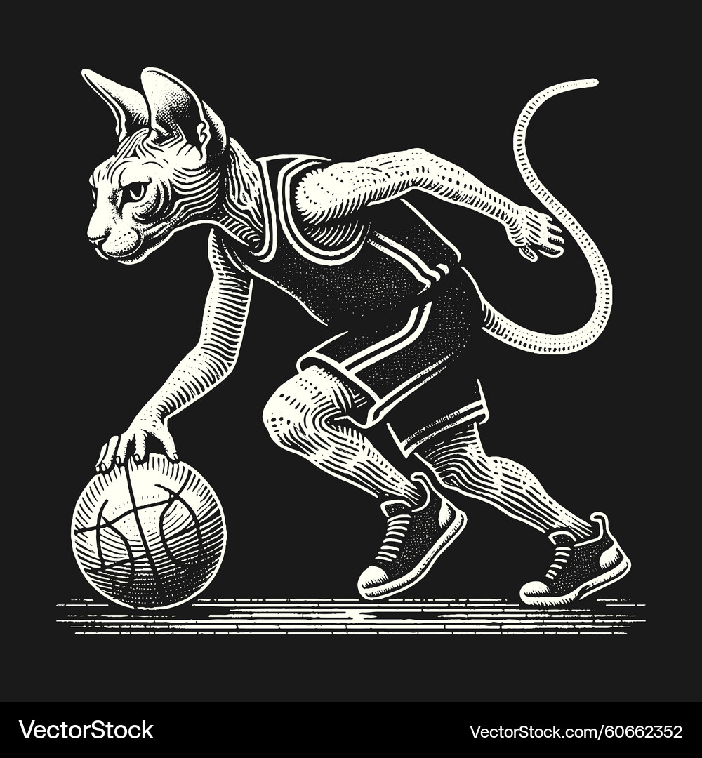 Sphynx Cat Basketball Player Royalty Free Vector Image
