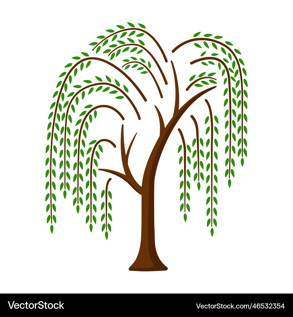 Elegant Willow Tree Icon Royalty Free Vector Image