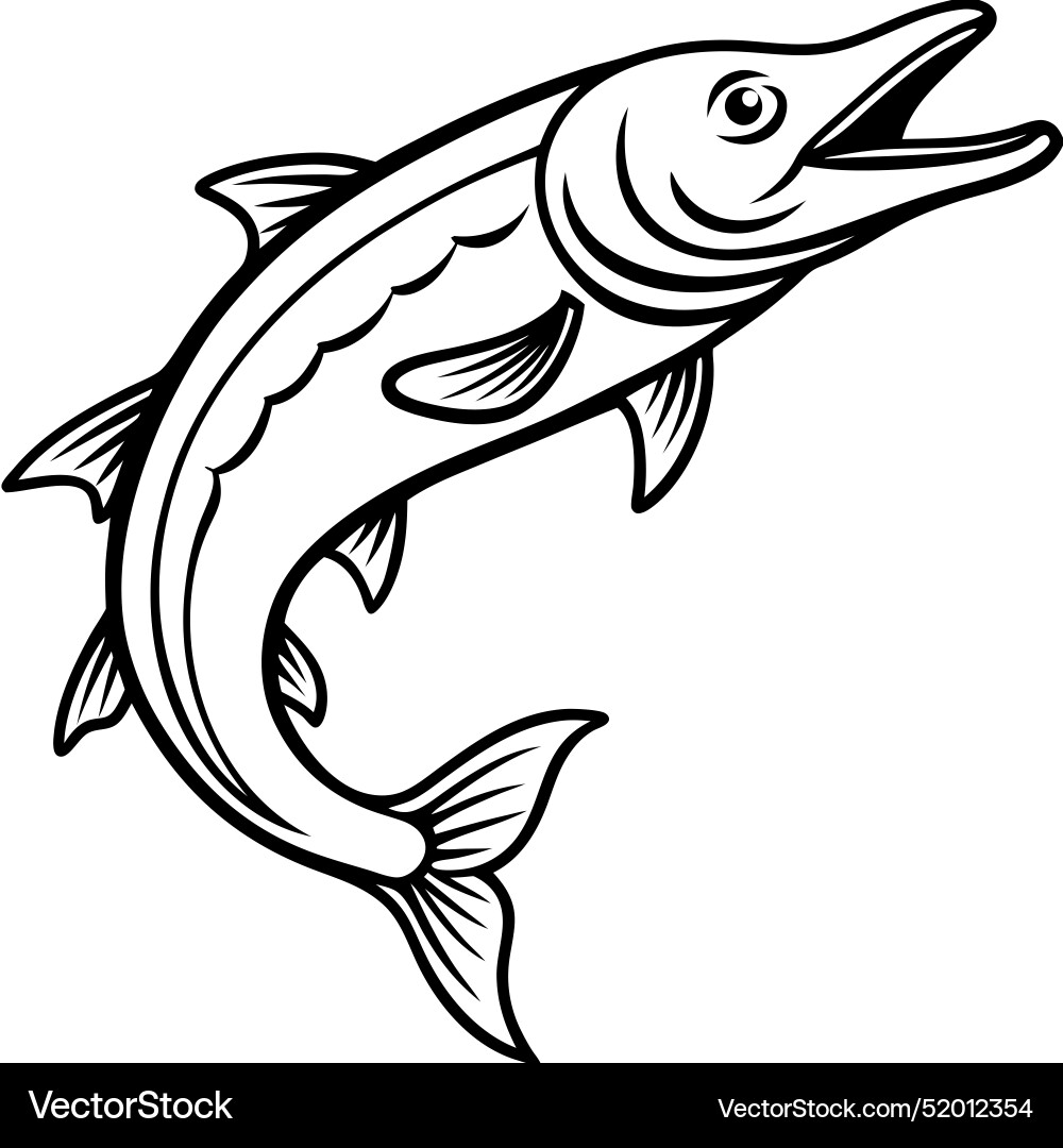 Florida gar fish jumps icon Royalty Free Vector Image
