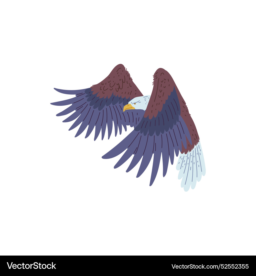 A soaring bald eagle Royalty Free Vector Image