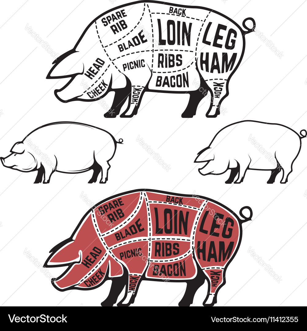 Pork Cut Diagram - Anatomy Guide Royalty Free Vector Image