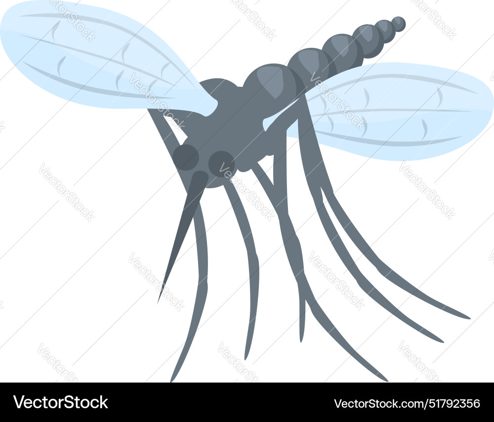 Dangerous mosquito spreading malaria flying insect