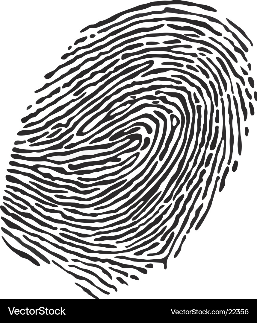 Fingerprint Royalty Free Vector Image - VectorStock