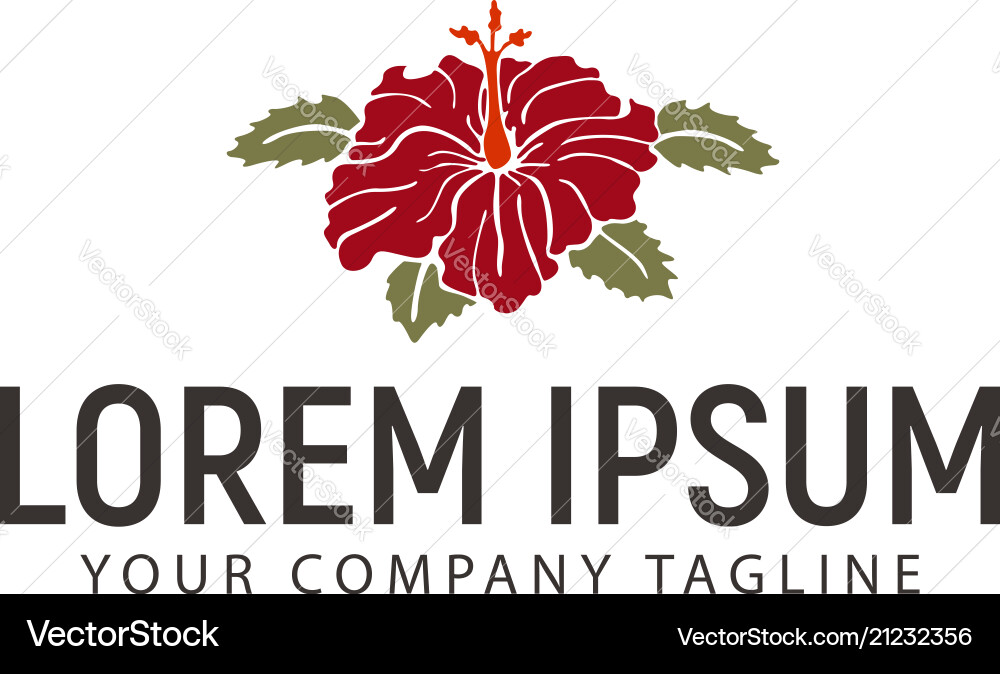 Hibiscus flower logo design concept template Vector Image