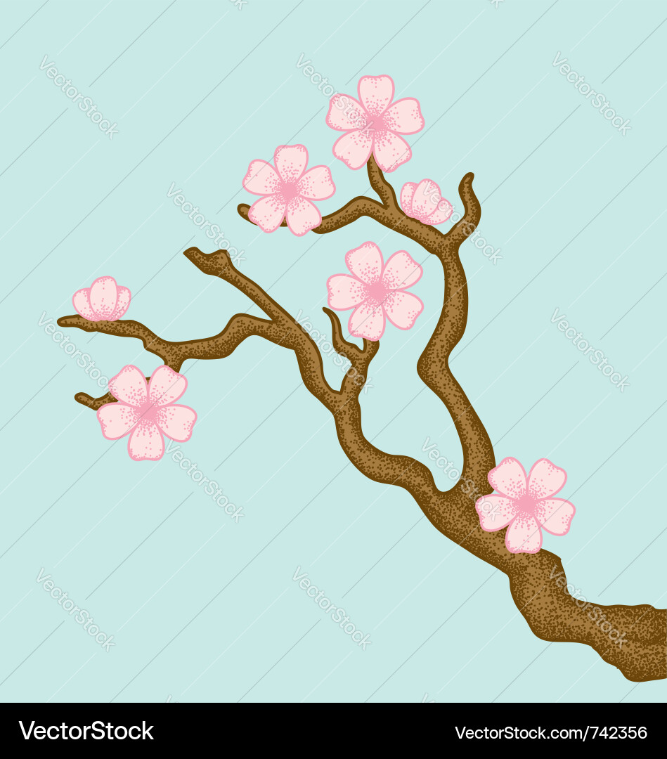 Sakura Royalty Free Vector Image - VectorStock