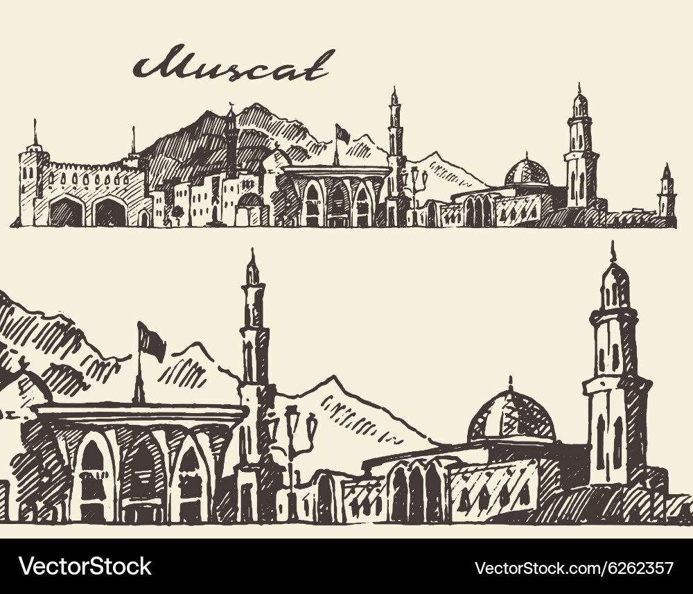 Muscat engraved hand drawn sketch Royalty Free Vector Image