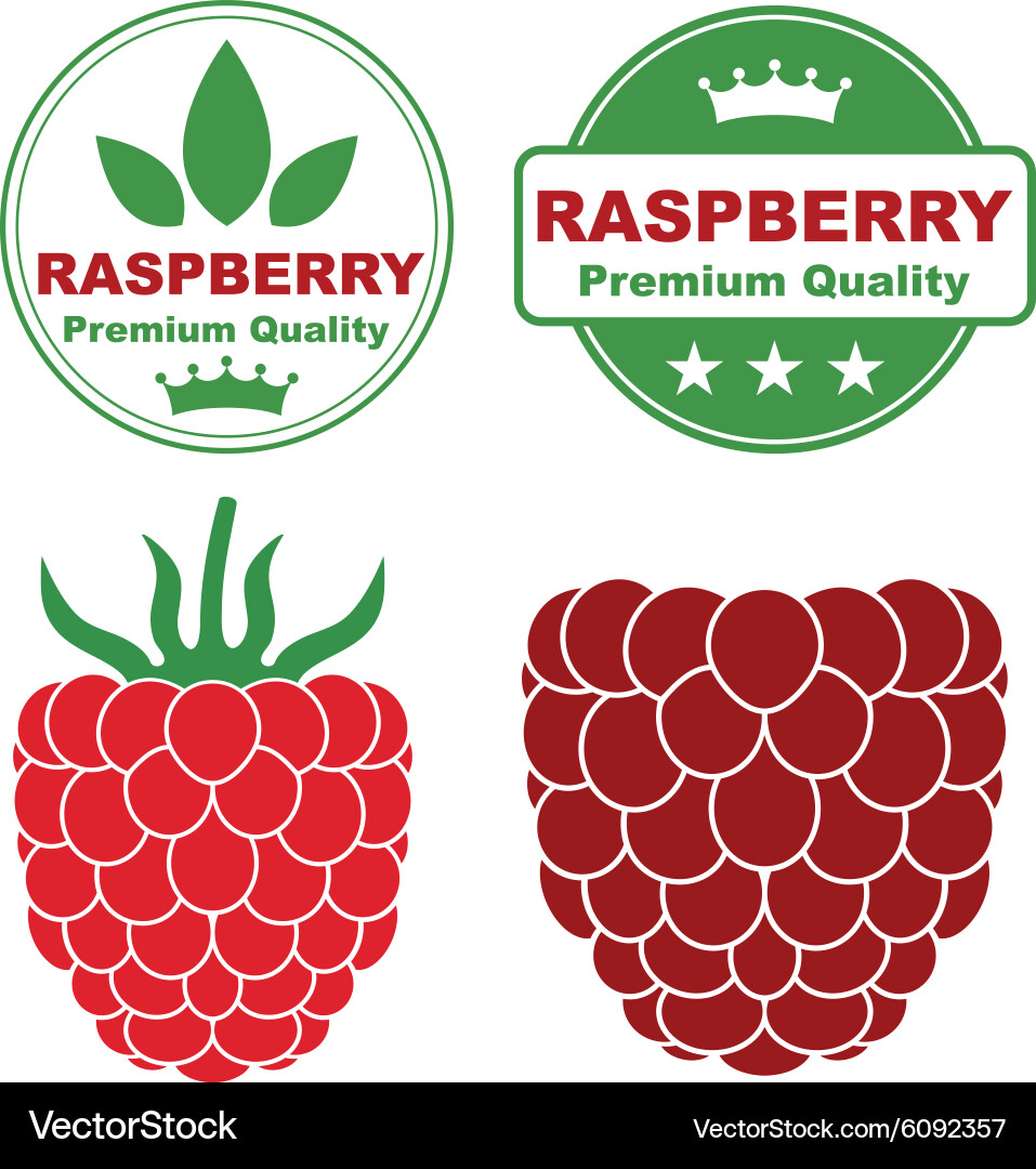 Raspberry Royalty Free Vector Image - VectorStock