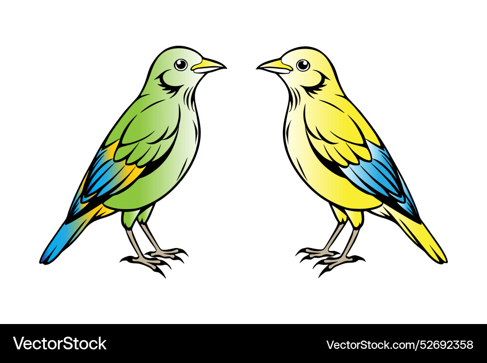 Colorful bird Royalty Free Vector Image - VectorStock