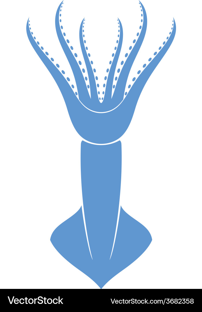 Squid Royalty Free Vector Image - VectorStock