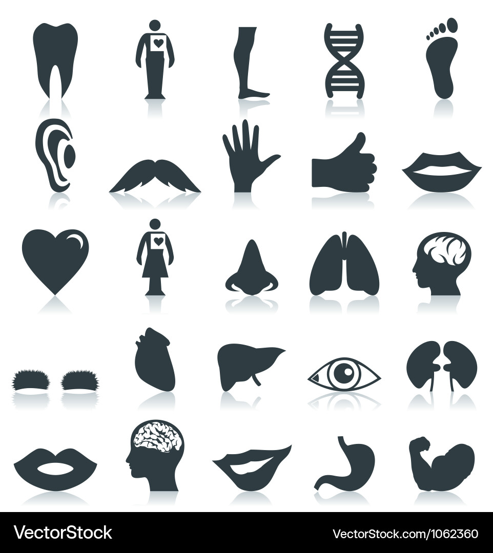 Body Vector Images (over 830,000)