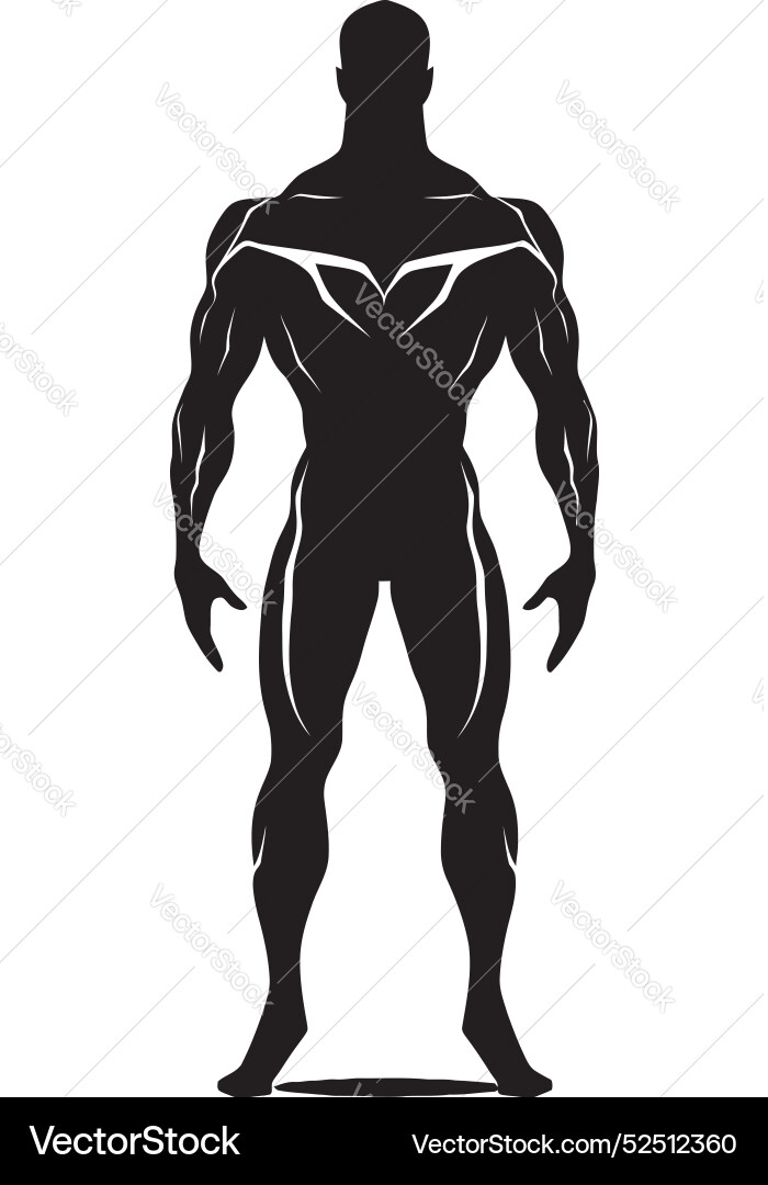 Shadow sentinel watcher in the dark midnight Vector Image