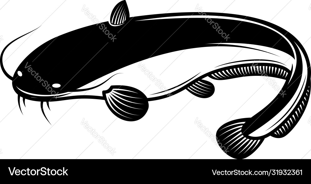 Catfish in engraving style design element Vector Image