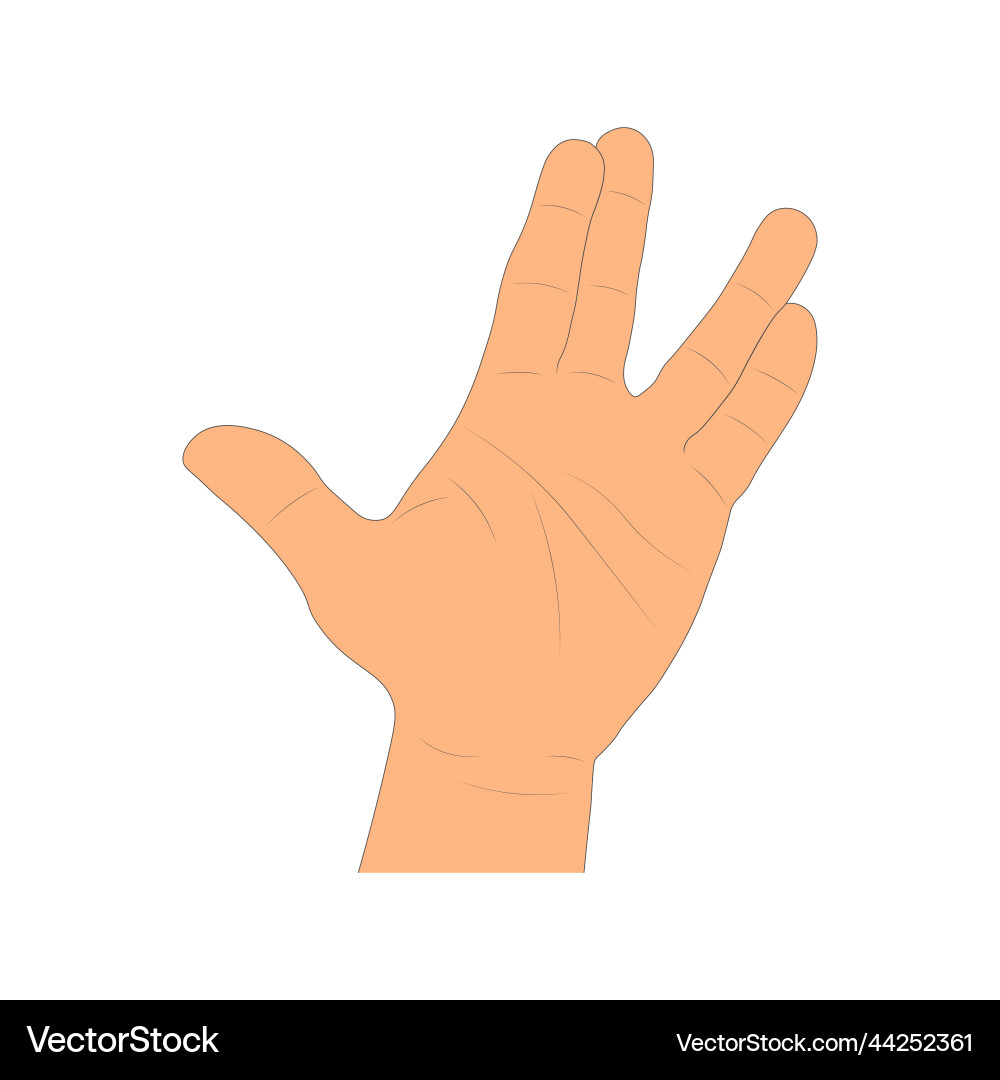 Drawn hand gestures image human arm in outline Vector Image