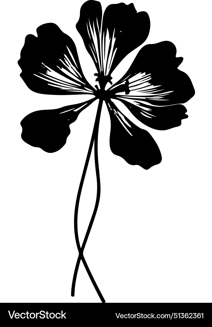 Geranium flower silhouette white background Vector Image