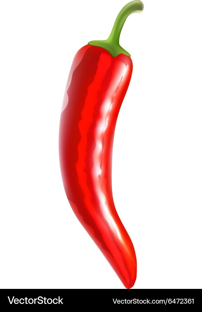 Red pepper isolated on white background Royalty Free Vector